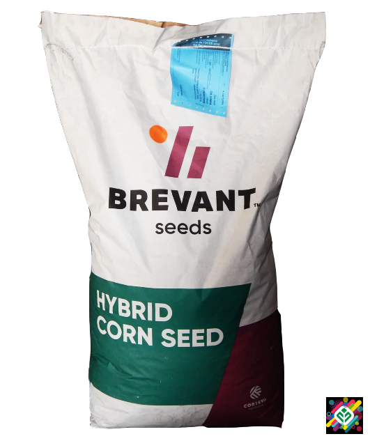 Сім'я кукурудзи МТ МАТАДО від компанії BREVANT Seeds., 92 ...